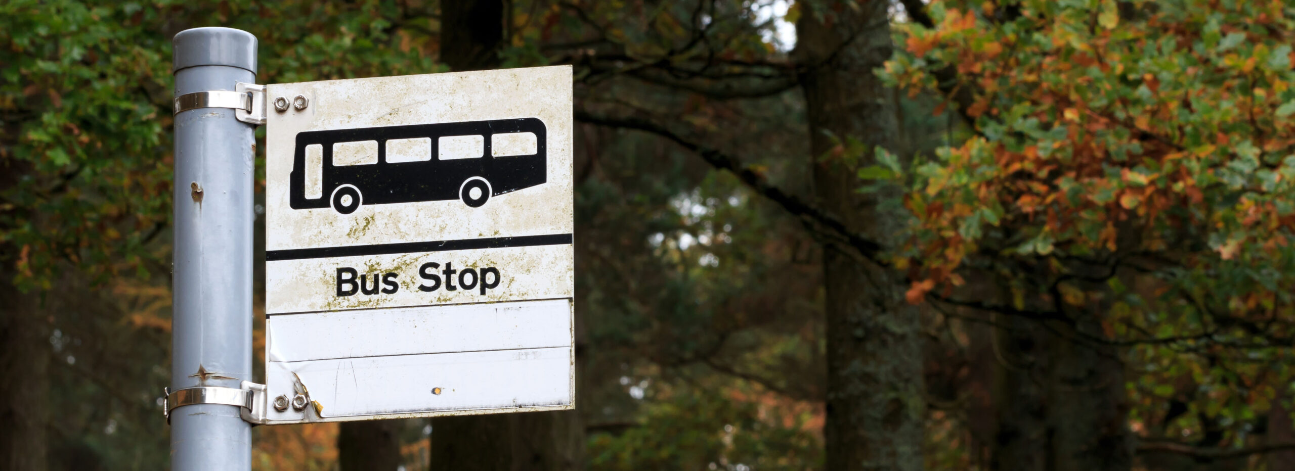 A Bus Stop Blessing - Michigan District, LCMS