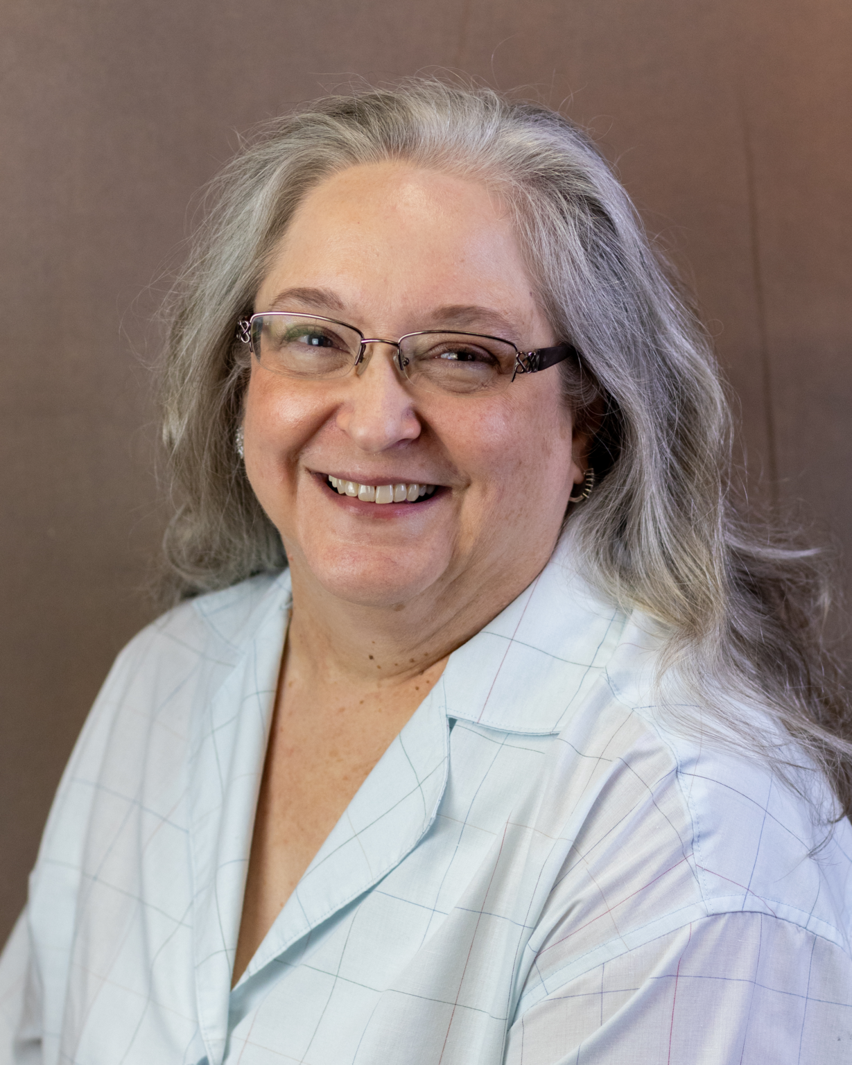 Development - Michigan District, LCMS